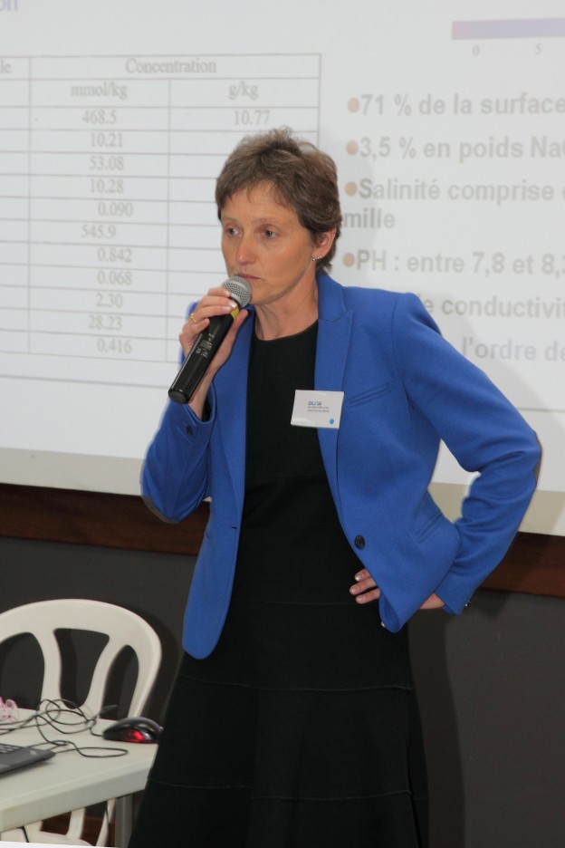 Anne-Marie GROLLEAU | 18th International Congress on Marine Corrosion ...